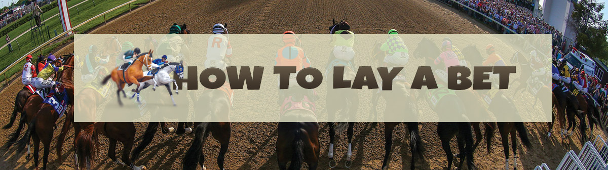 Laying Bets - Horse Racing Odds